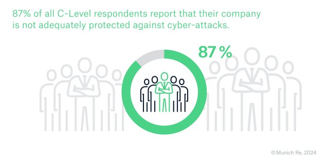 Global Cyber Risk and Insurance Survey 2024 | Munich Re