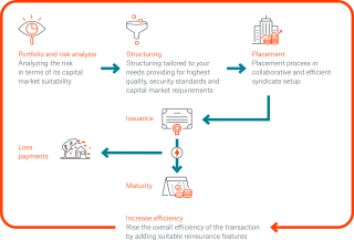 Insurance Linked Securities | Munich Re