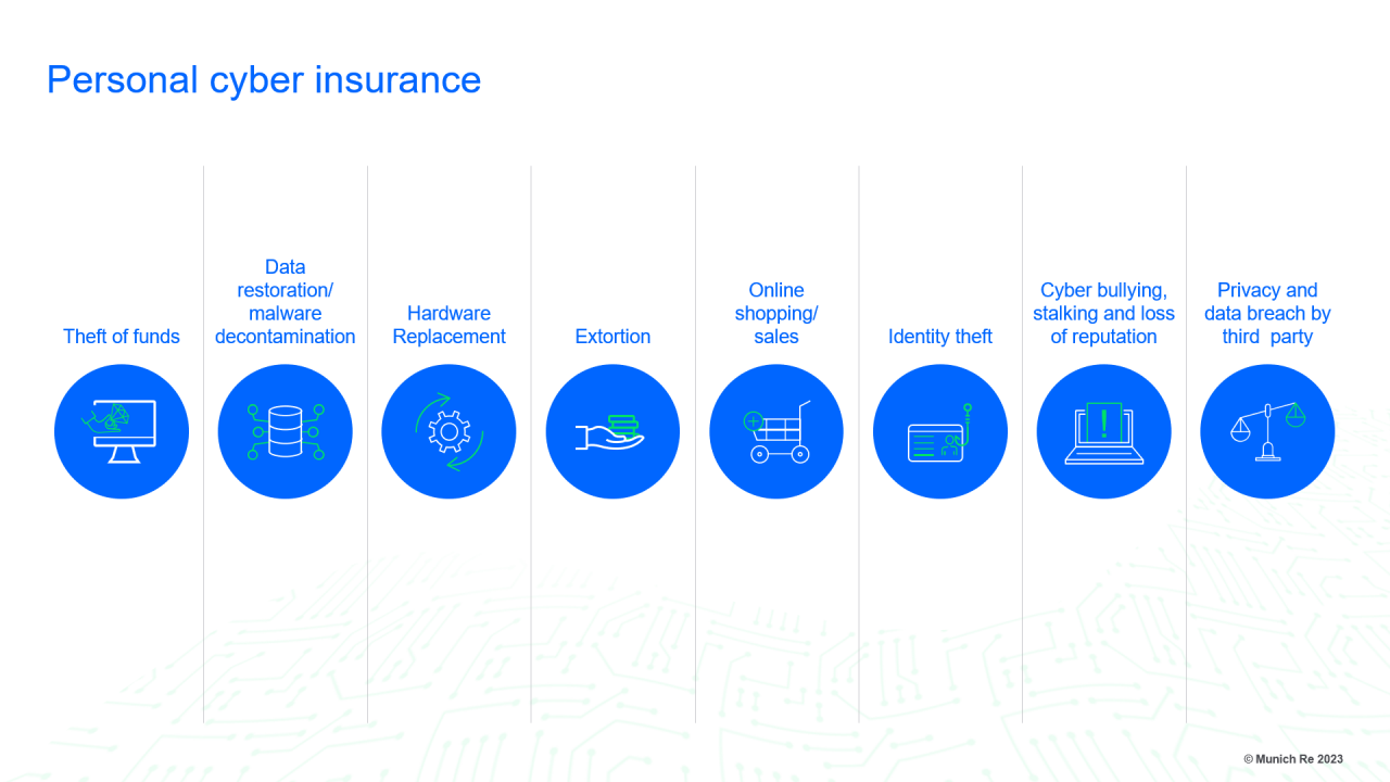 Cyber security in our personal digital lives | Munich Re