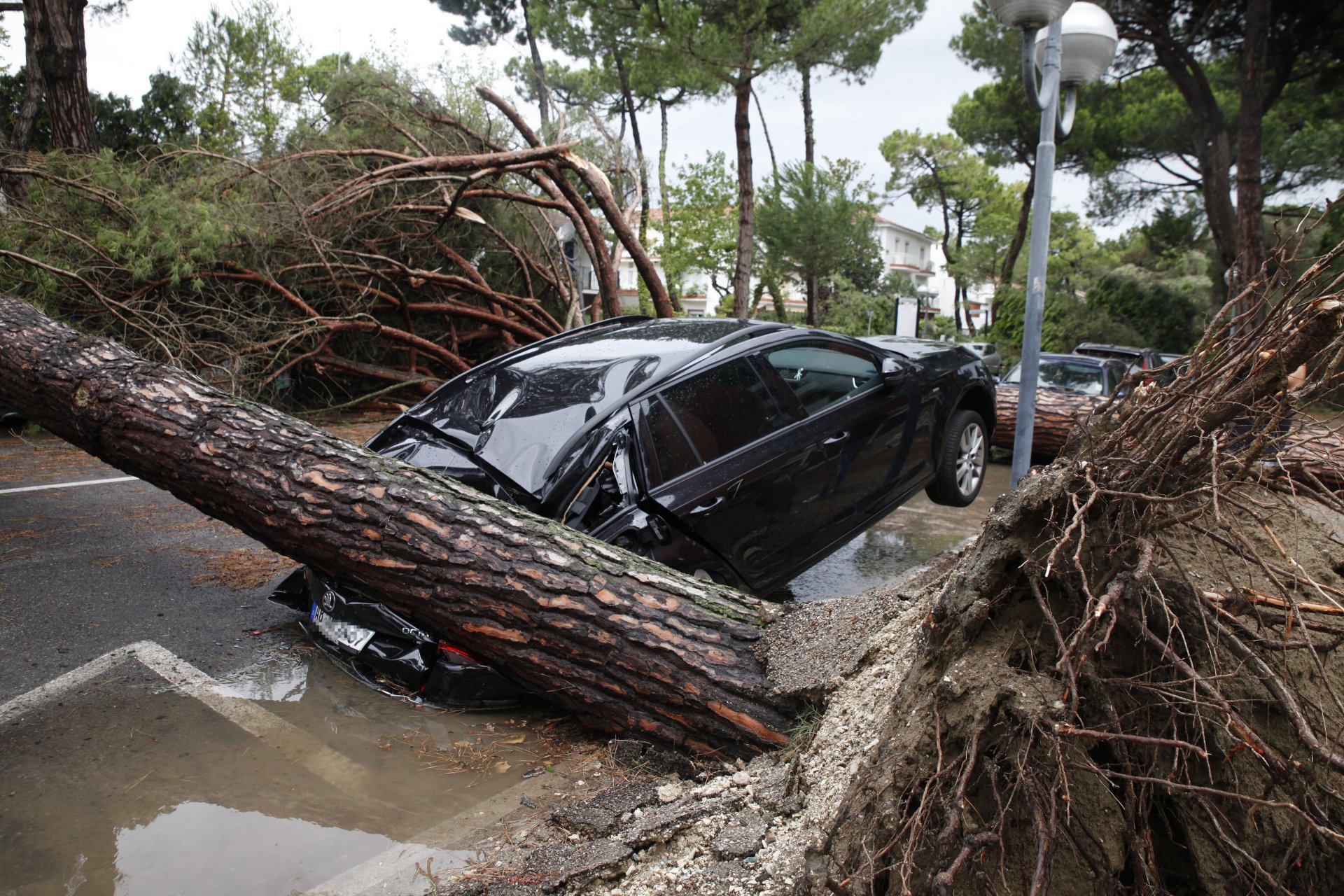 Tropical cyclones causing billions in losses dominate nat cat picture ...