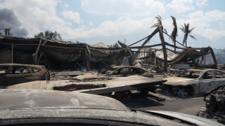 Record thunderstorm losses and deadly earthquakes: the natural ...