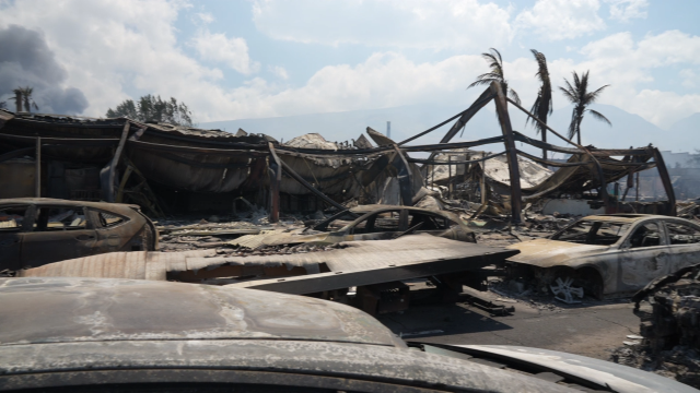Record thunderstorm losses and deadly earthquakes: the natural ...