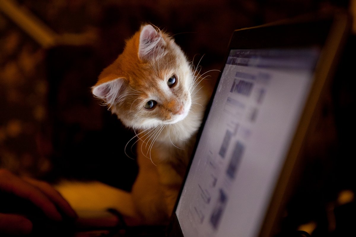 Computer equipment risks for the 'new normal' | UK & Ireland | HSB