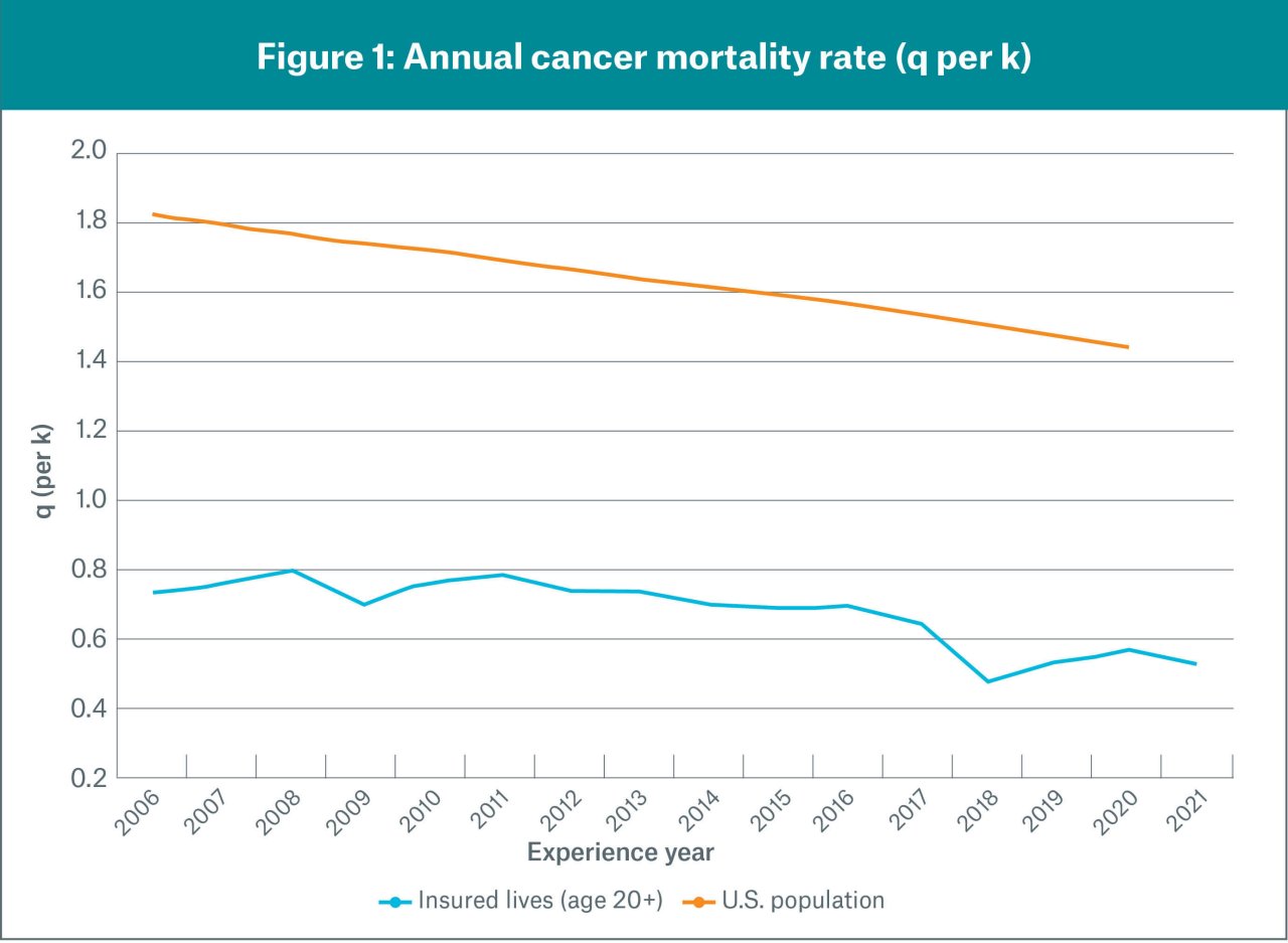 Cancer mortality patterns in insured lives | Munich Re Life US