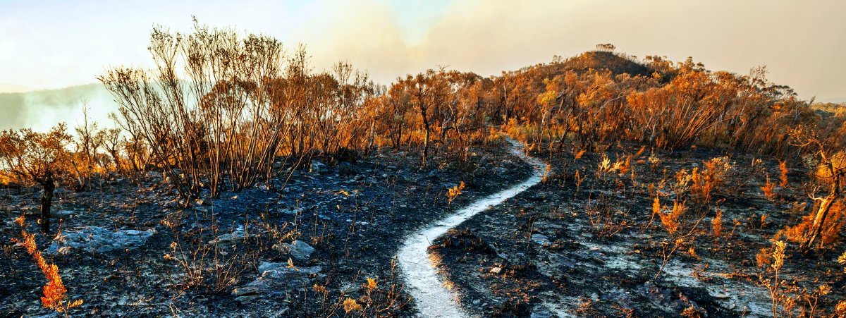 Community-based Solutions